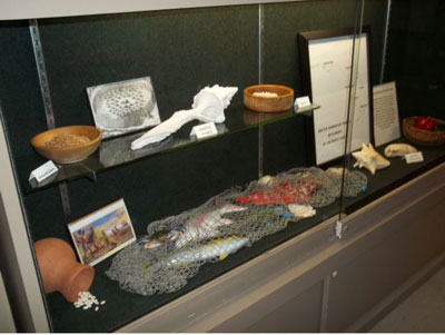 Expedition Conquistador - Museum Traveling Exhibits